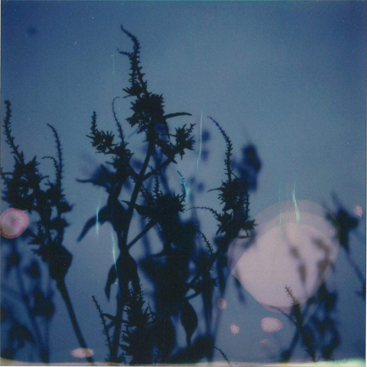 Derek Rogers - Immersions – Good Records To Go